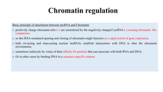 LncRNA and chromatin regulation | PPT