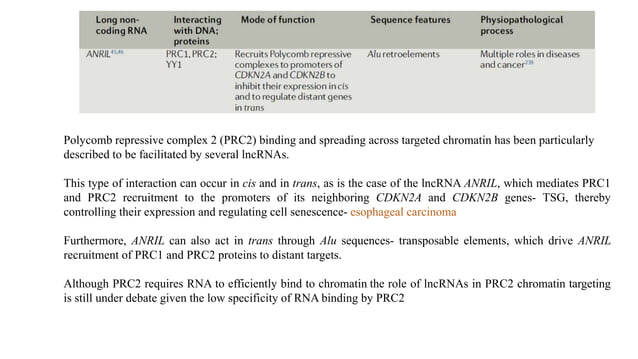 LncRNA and chromatin regulation | PPT