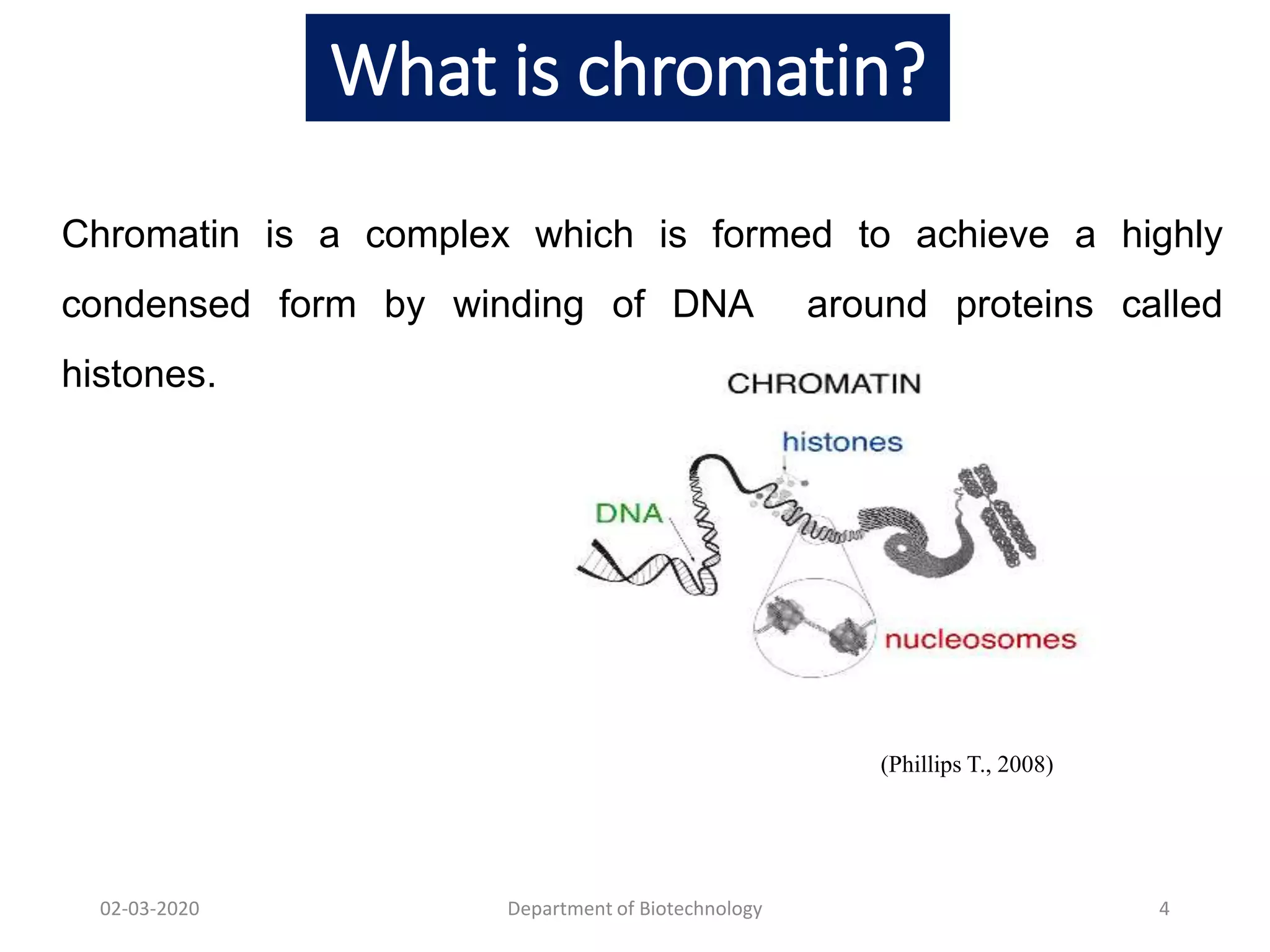 Chromatin remodeling and plant stress | PPT
