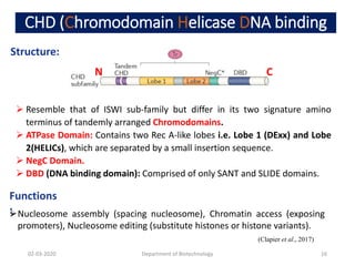 Chromatin remodeling and plant stress | PPT