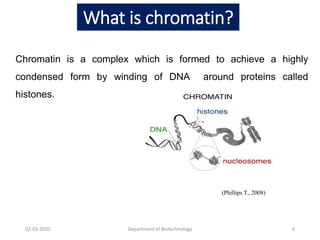 Chromatin remodeling and plant stress | PPT