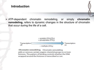 Chromatin remodeling | PPTX