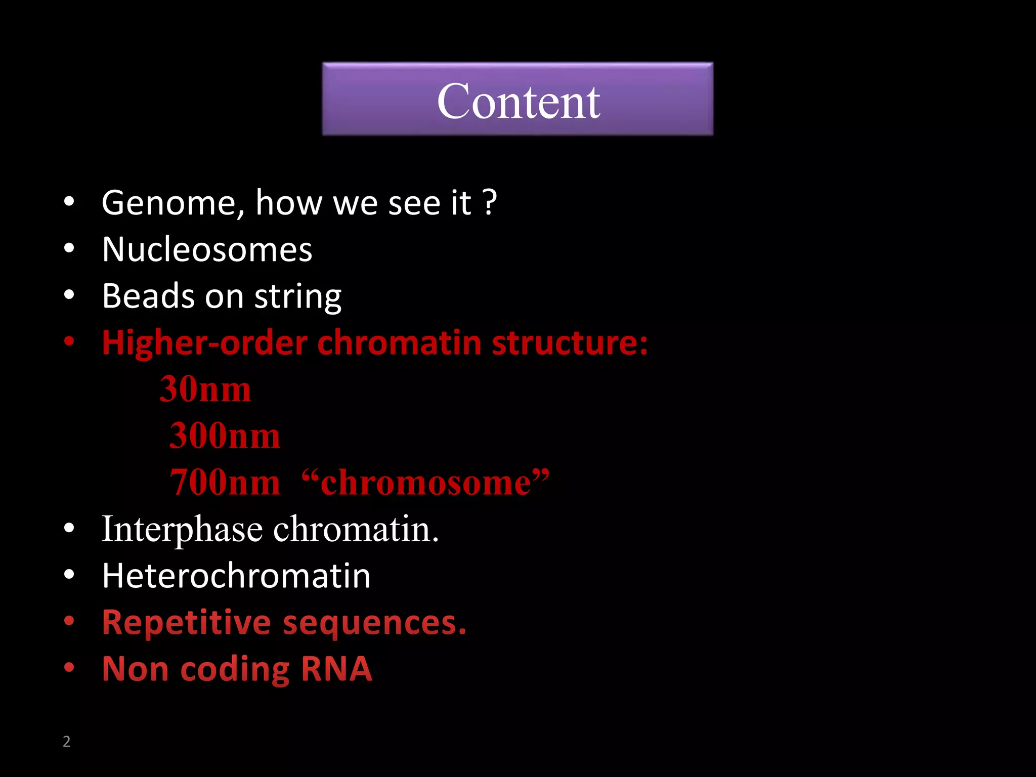 Chromatin structure "DNA+CHROMOSOME" | PPTX