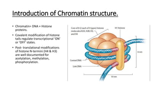 Chromatin structure | PPTX