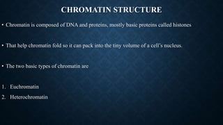 Chromatin Structure