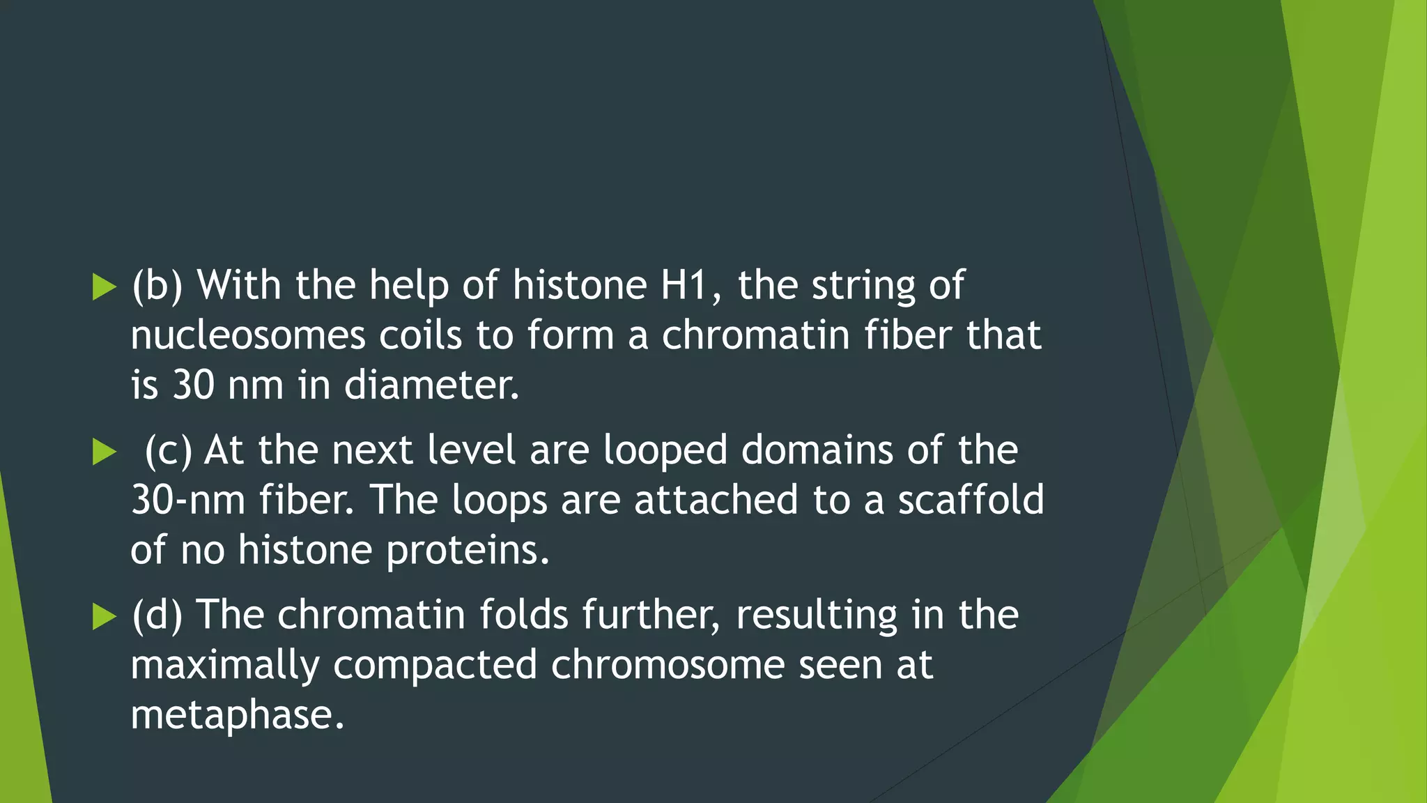 Chromatin structure | PPTX