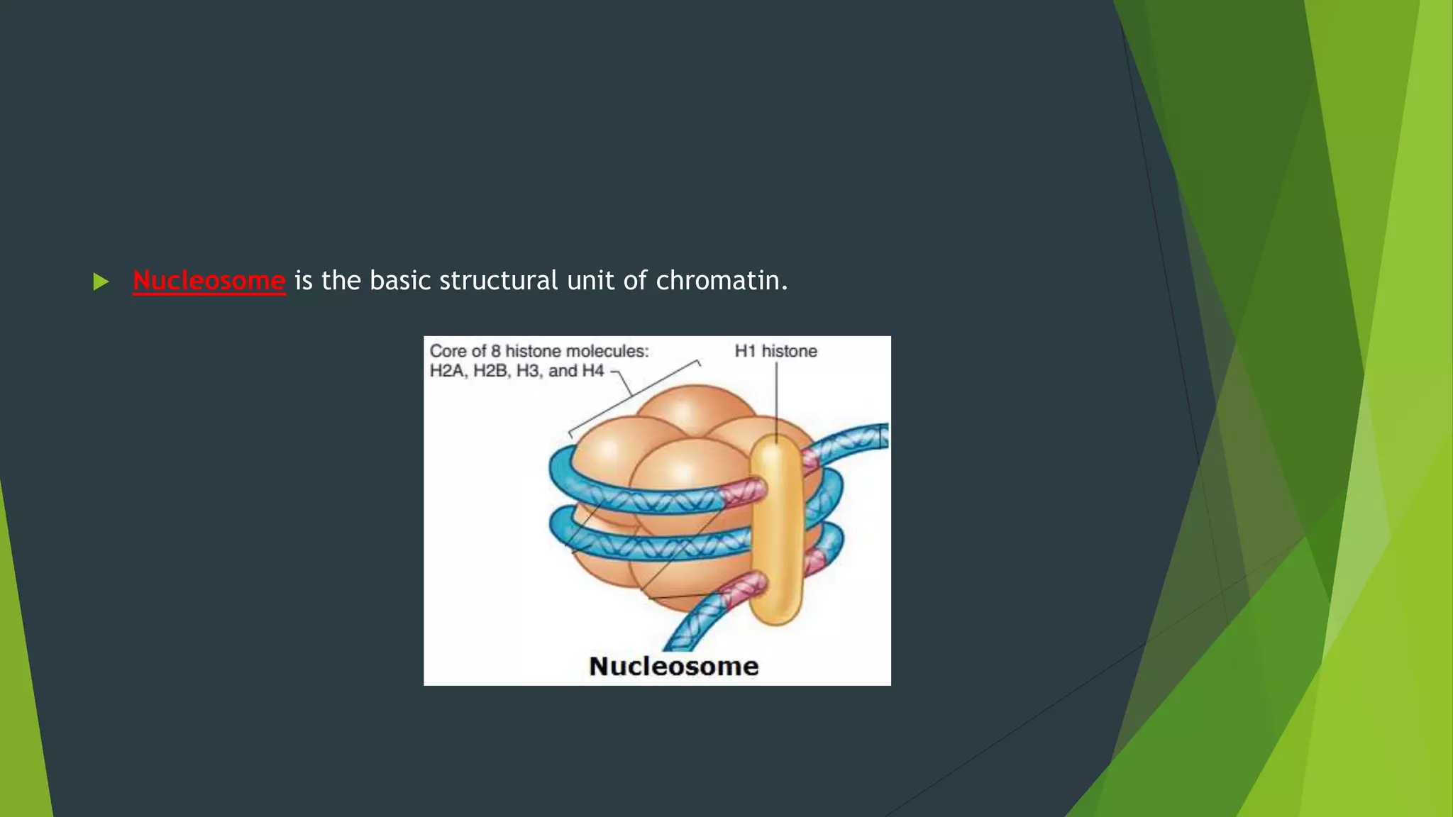 Chromatin structure | PPTX