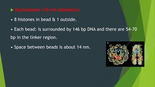 Chromatin structure | PPTX