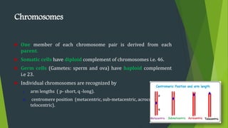 Chromatin structure | PPTX