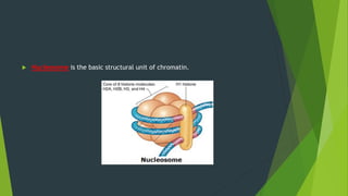 Chromatin structure | PPTX