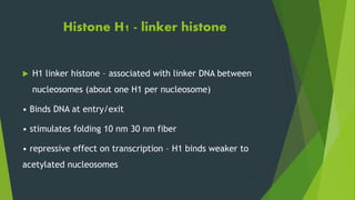 Chromatin structure | PPTX