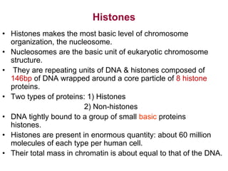 Chromatin Structure2015.ppt