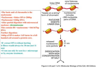 Chromatin Structure2015.ppt