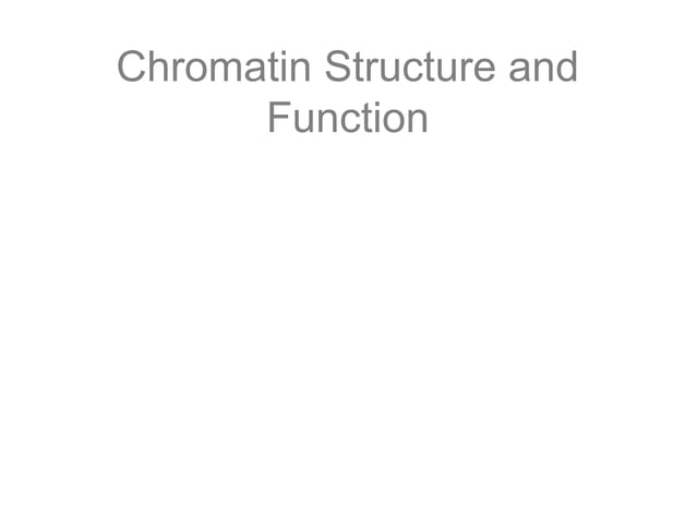 Chromatin Structure And Functionpresentation Ppt