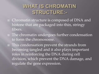 Chromatin structure and organization | PPTX
