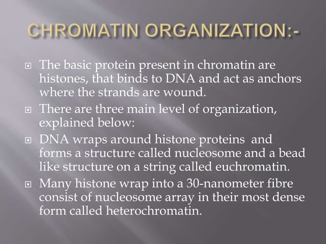 Chromatin structure and organization | PPTX