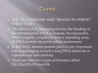 Chromatin structure and organization | PPTX