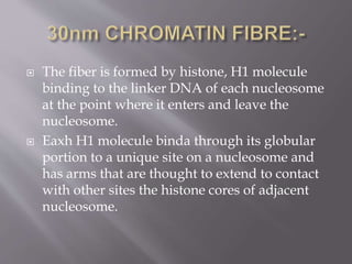 Chromatin structure and organization | PPTX