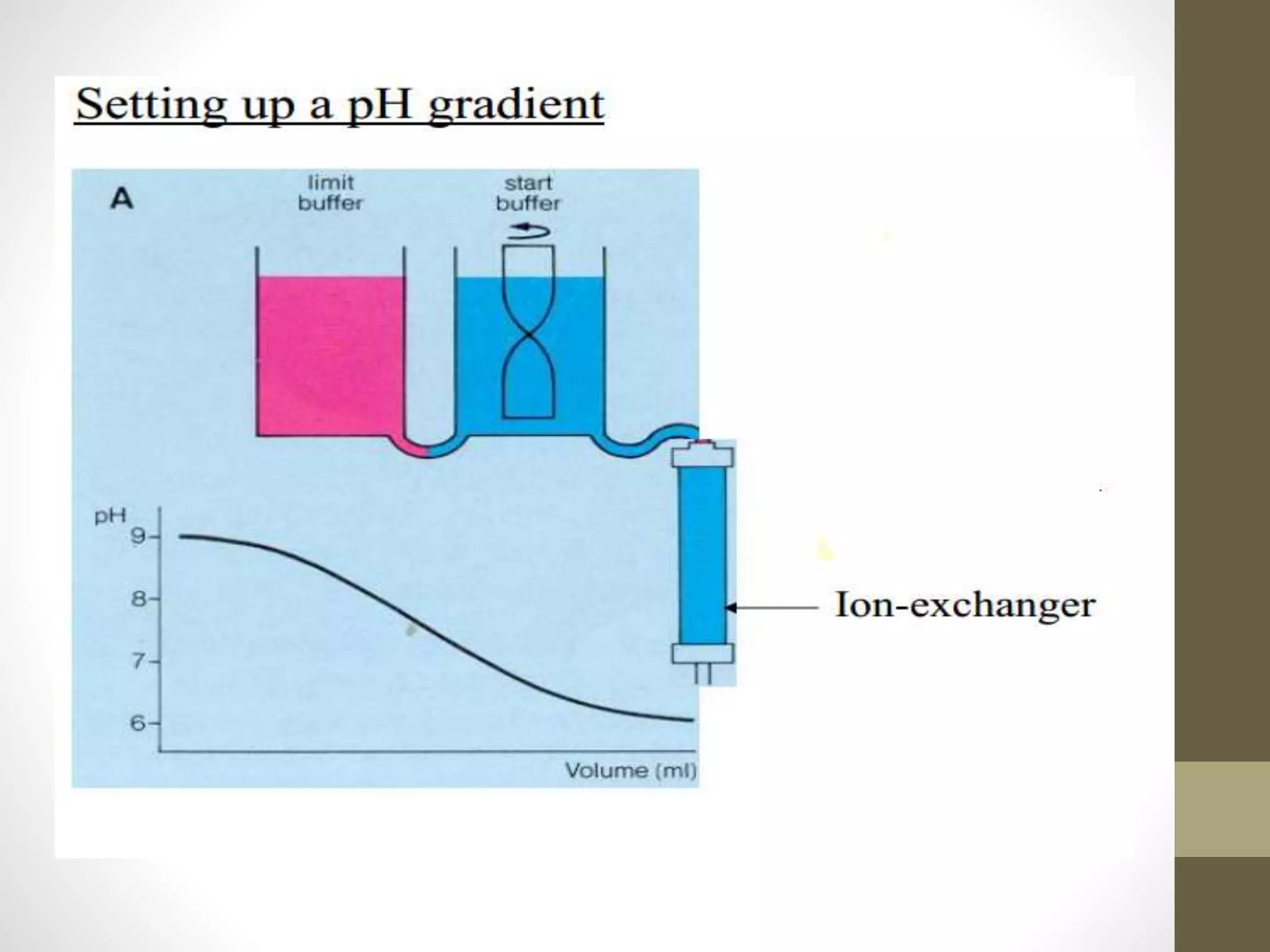 Chromatofocusing | PPTX