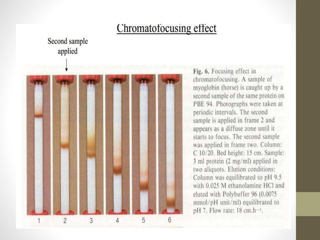 Chromatofocusing | PPTX