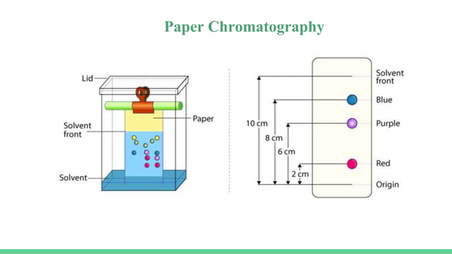 Chromatographic Techniques.pptx
