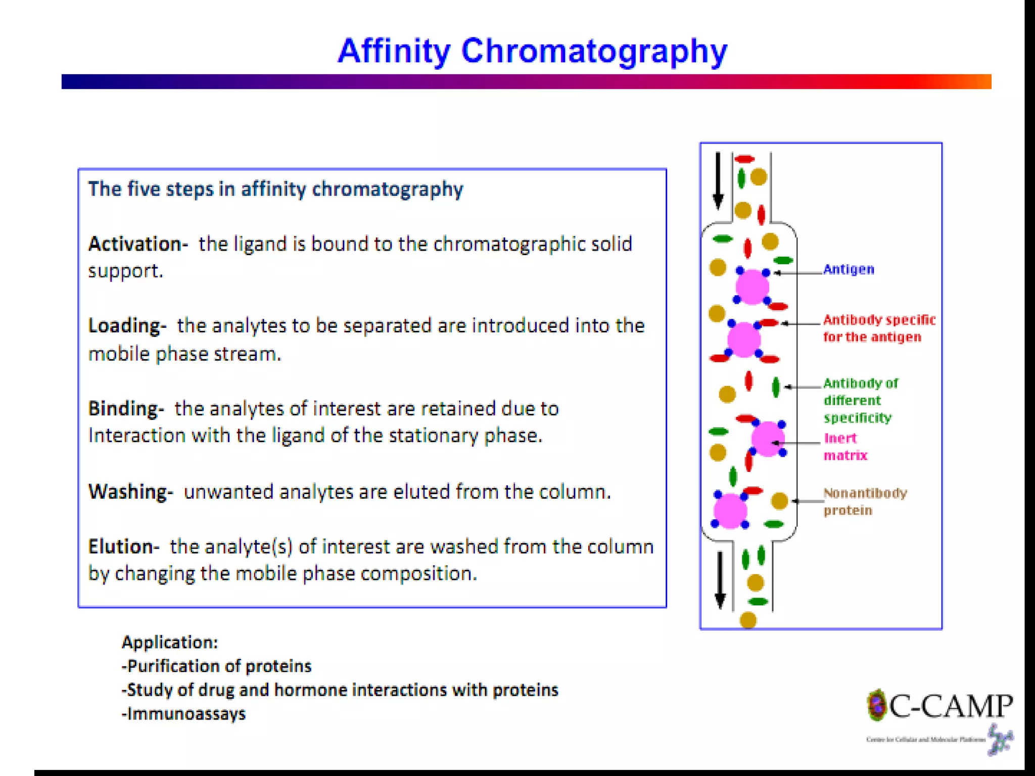 Chromatography 1 | PPT