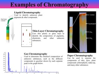 Chromatography | PPT
