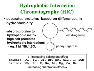 Chromatography, | PPT