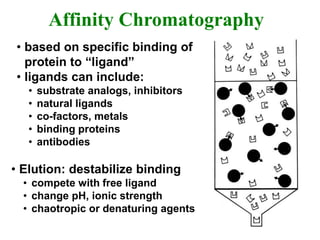 Chromatography, | PPT