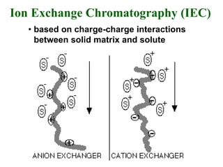 Chromatography, | PPT