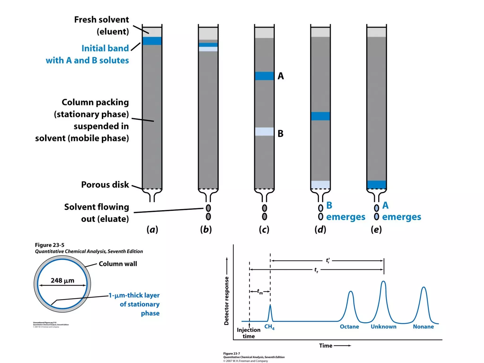 Chromatography | PPT | Chemistry | Science