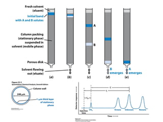 Chromatography | PPT