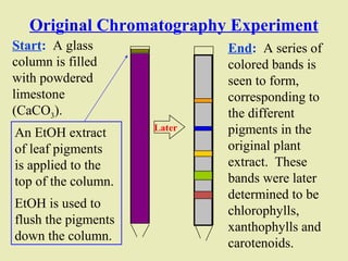 Chromatography | PPT | Chemistry | Science