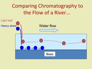 Chromatography | PPT