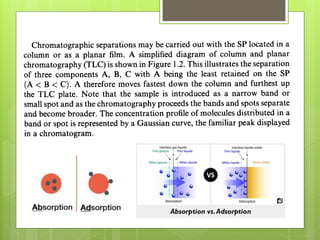 Chromatography | PDF