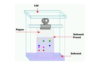 Chromatography | PPTX