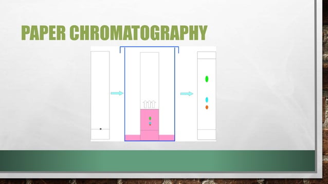 Chromatography | PPT