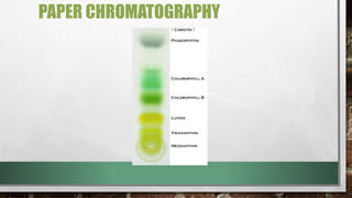 Chromatography | PPTX