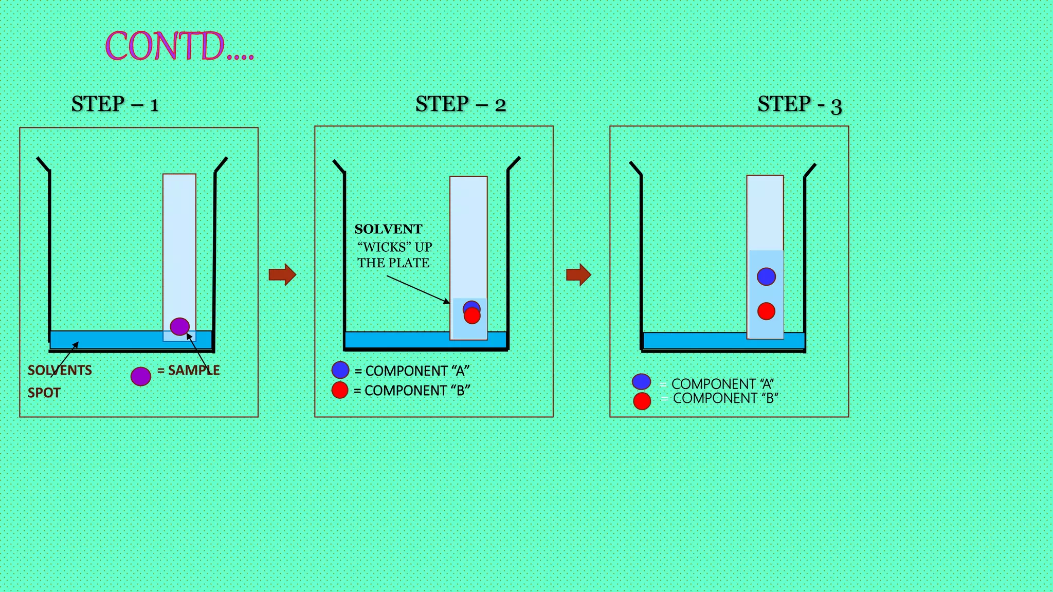 An Introduction To Chromatography | PPT