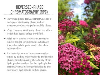 Chromatography | PDF
