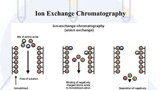 Chromatography | PPT