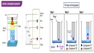 CHROMATOGRAPHY.pptx | Chemistry | Science