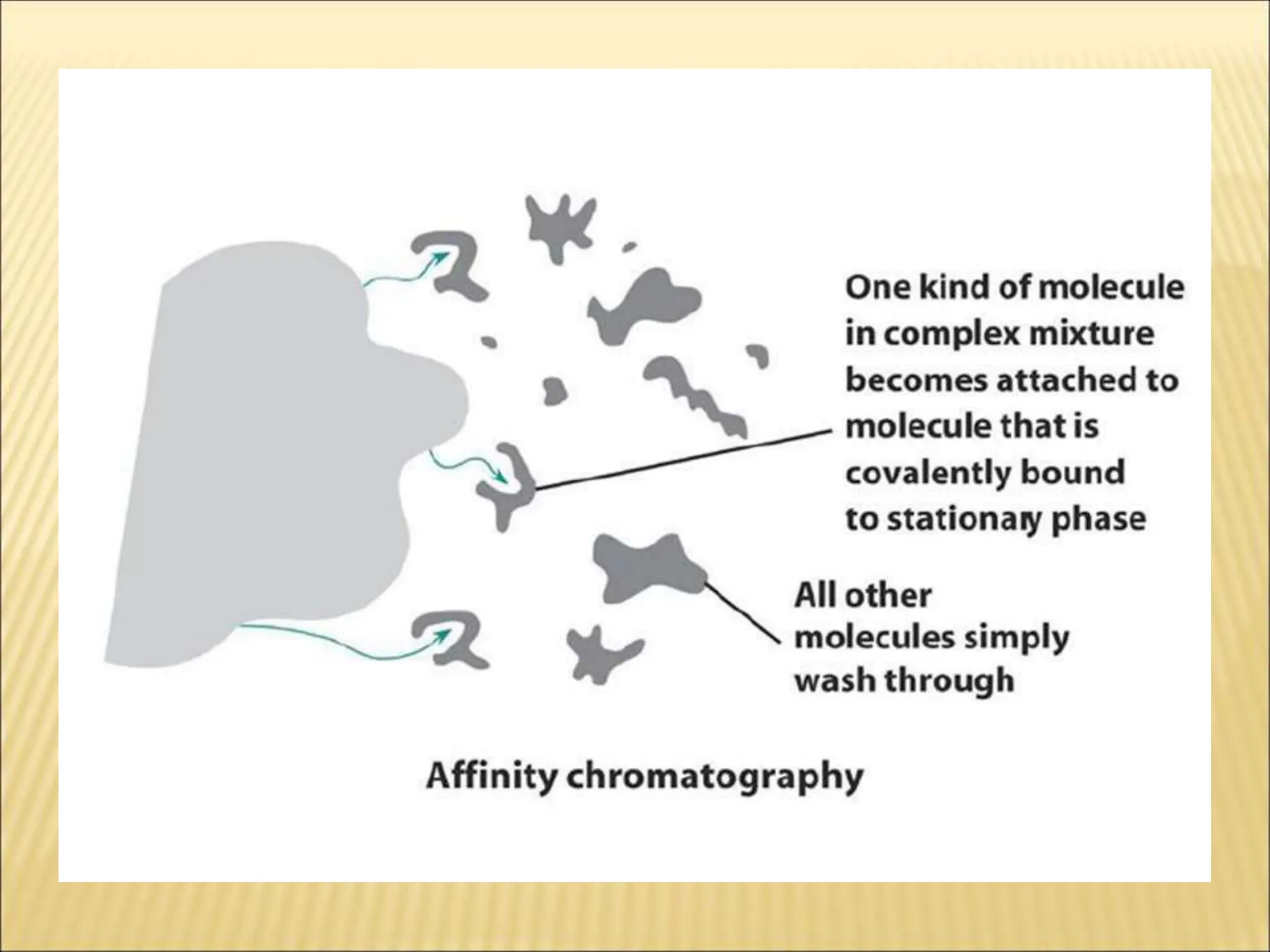 CHROMATOGRAPHY.docx The principle of separation is mainly partition ...