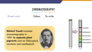 chromatography principle and procedure^^.pptx