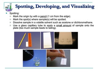 Chromatography Fall 09 | PPT