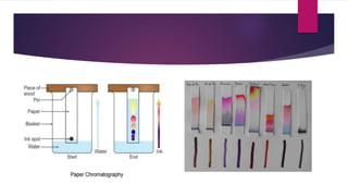 Applied Biochemistry | PPT