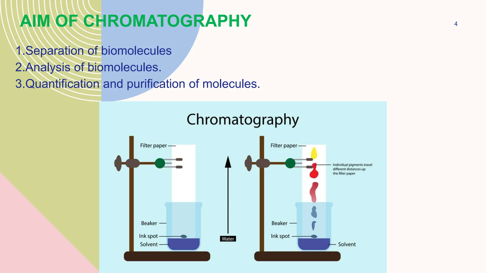 CHROMATOGRAPHY and its types with procedure,diagrams,flow charts ...