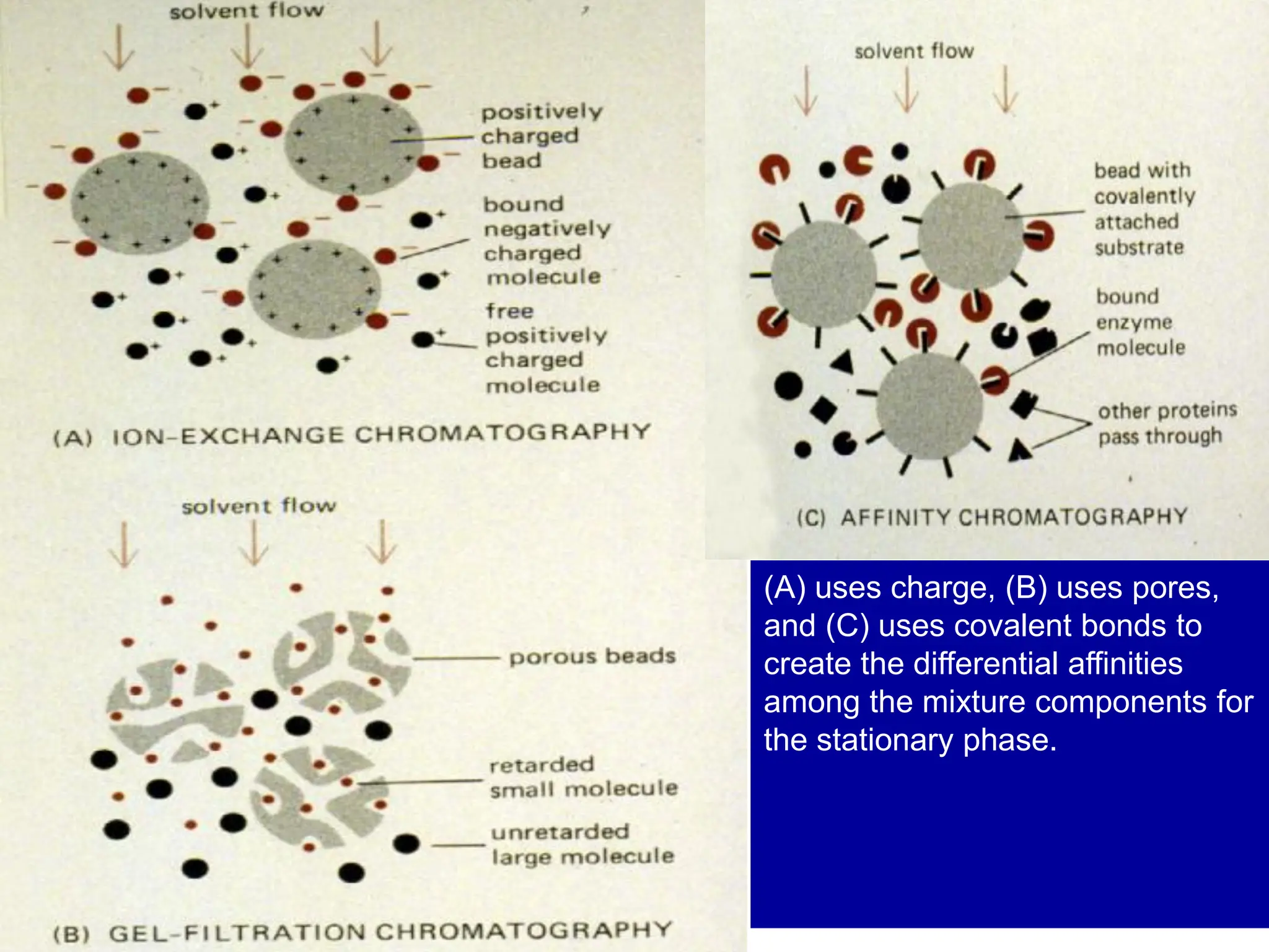Chromatography- principle, types , applications,advantages and ...