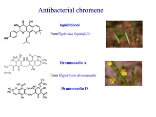 Chromene: Synthesis and Medicinal properties | PPT