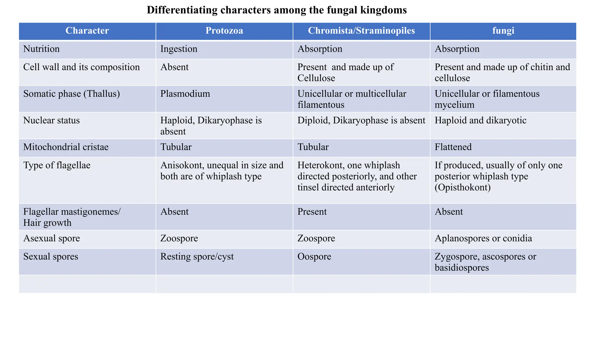 Chromista, fungal classification in pathology.pptx